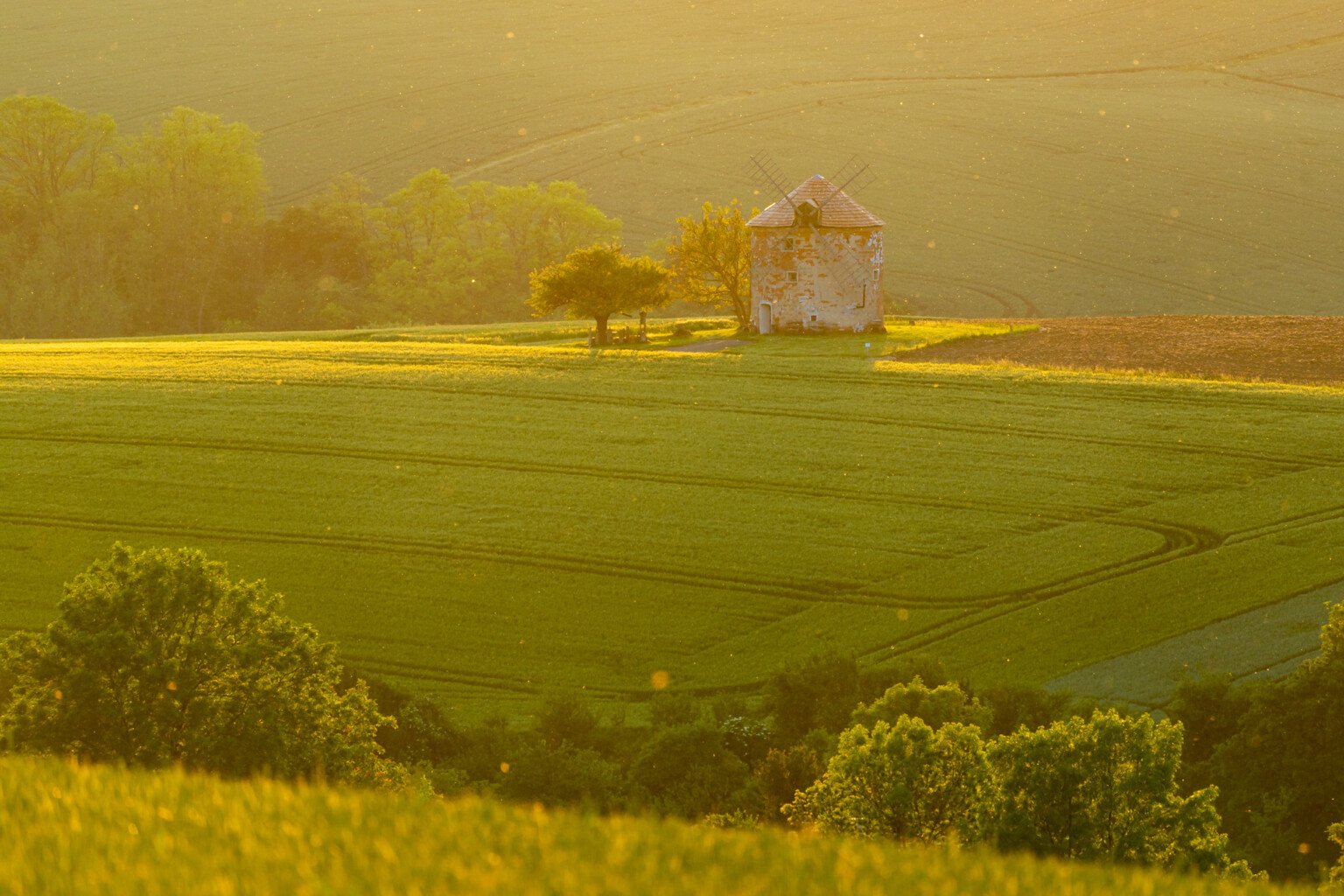South Moravia Photo Tour | 3D/2N | Johnny's Prague Photo Tours